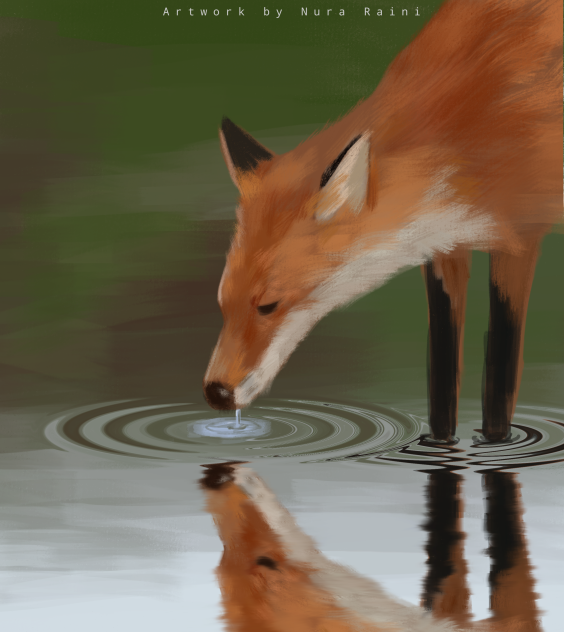 red fox - ibisPaint