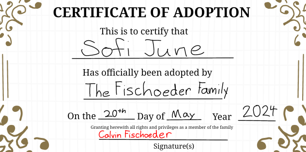 Foster Home Adoption Signing Paper - ibisPaint