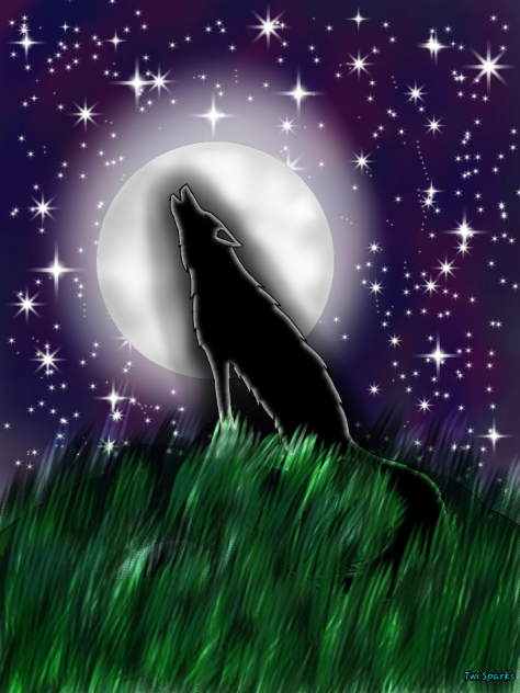 Howling Wolf - ibisPaint