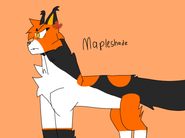 Mapleshade (Warrior cats) - ibisPaint