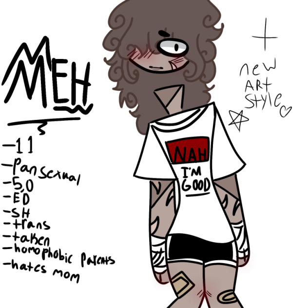 MEH!⭐️ +new art style - ibisPaint