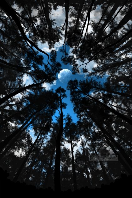 Blue sky - ibisPaint