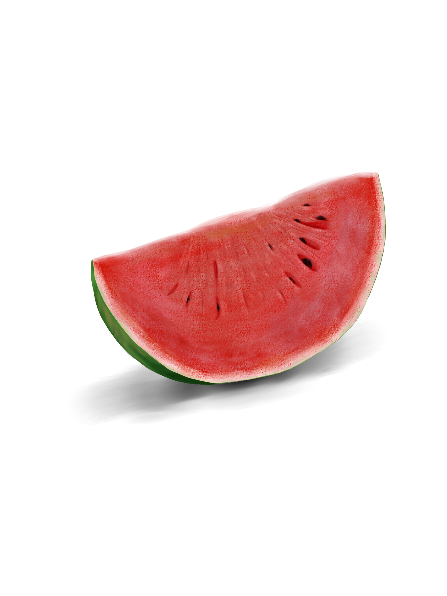 Watermelon - ibisPaint