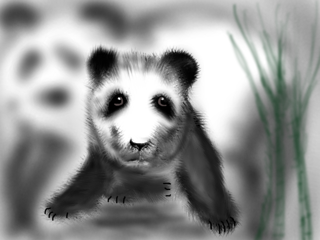 baby panda - ibisPaint
