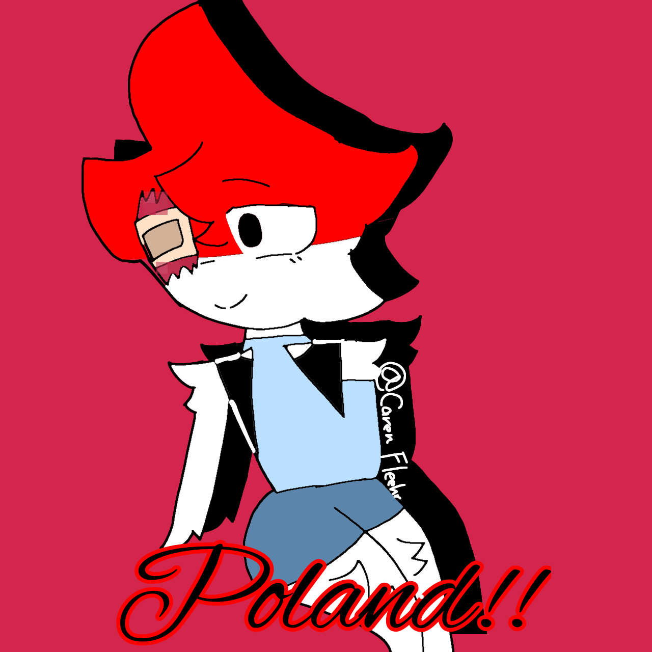 respect Poland pls - ibisPaint