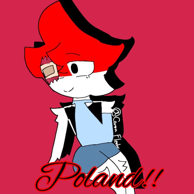 respect Poland pls - ibisPaint