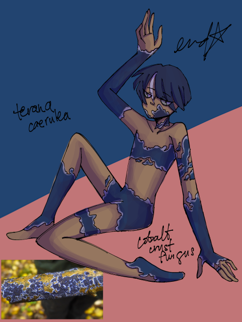 funguary day11; cobalt crust fungus - ibisPaint