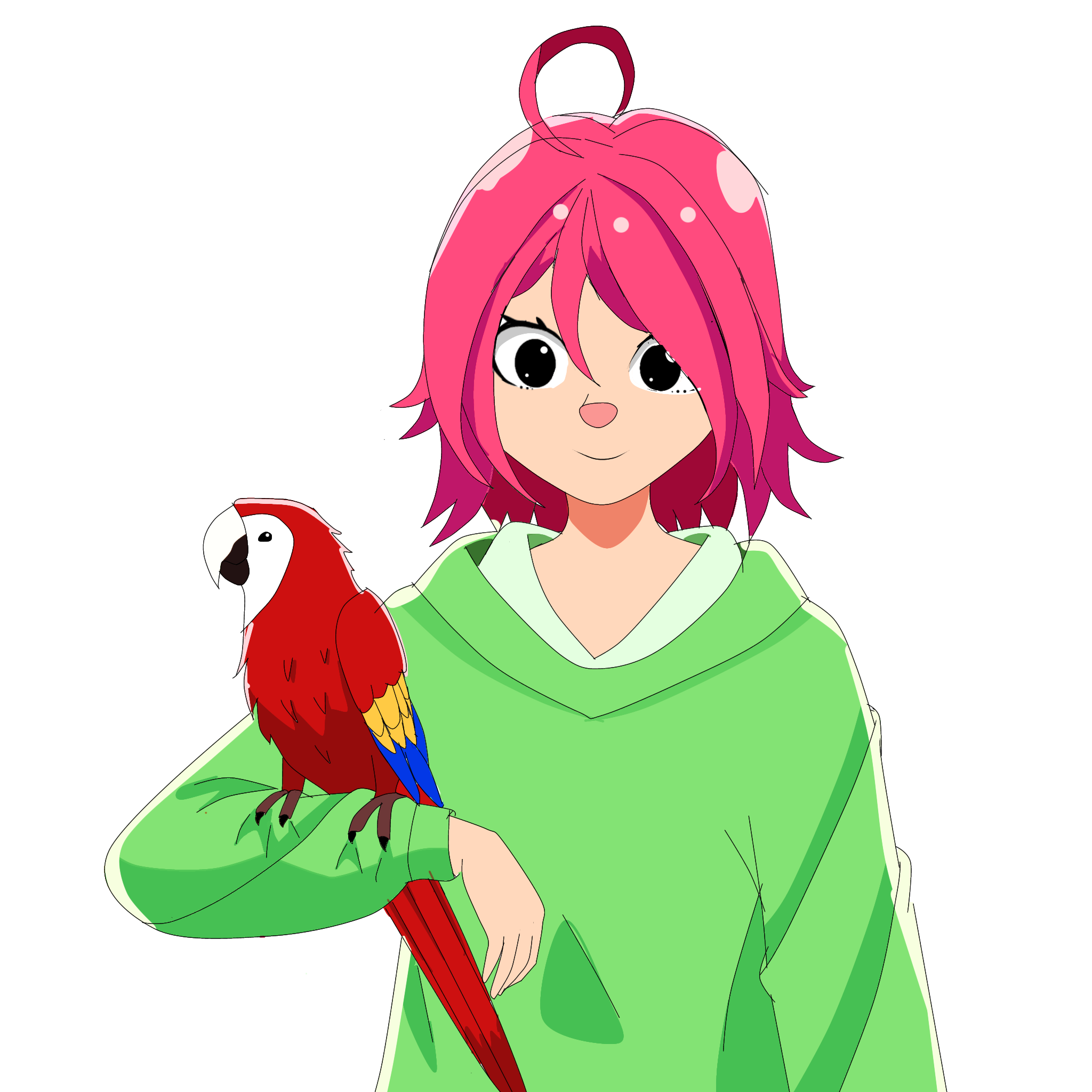 Bird - ibisPaint