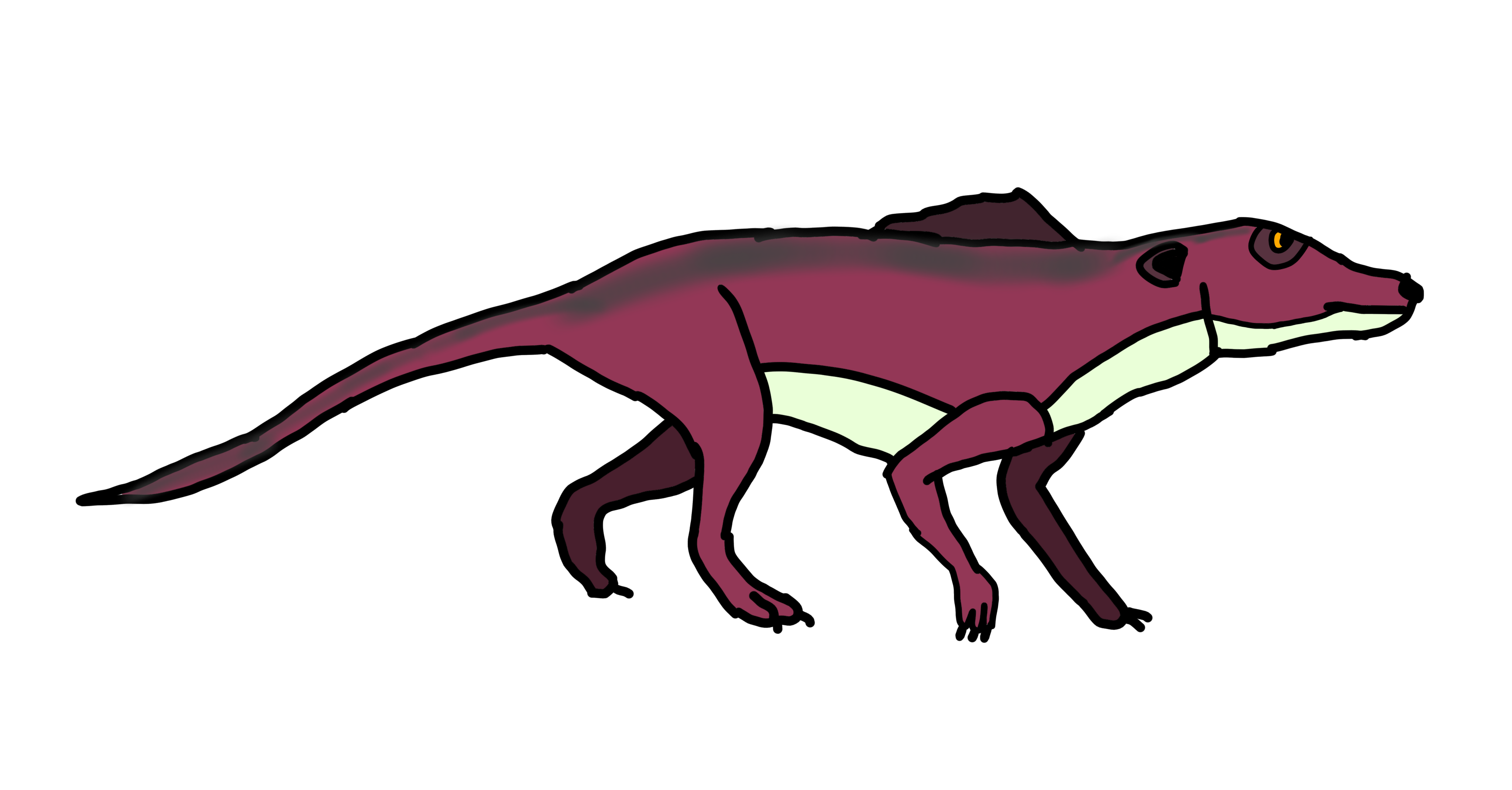 Pakicetus - ibisPaint