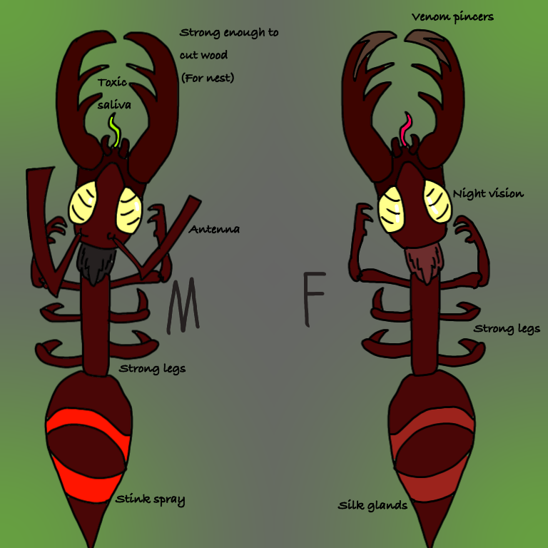 Drill ant - ibisPaint