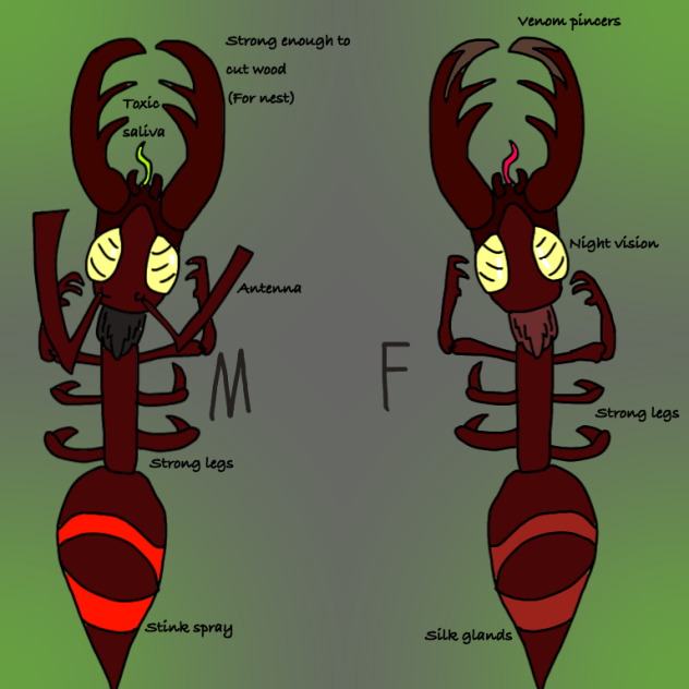 Drill ant - ibisPaint