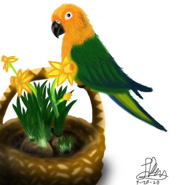 Parrot🦜 - ibisPaint
