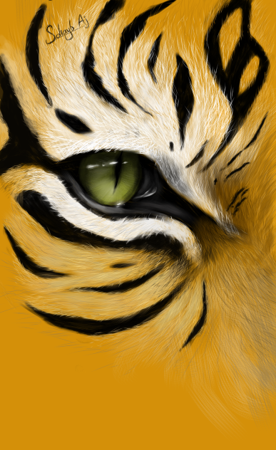 tiger eye - ibisPaint