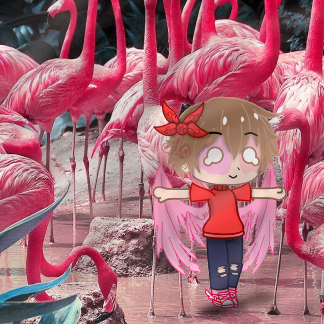 The flamingos - ibisPaint