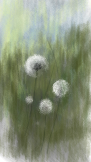 d.lion practice - ibisPaint