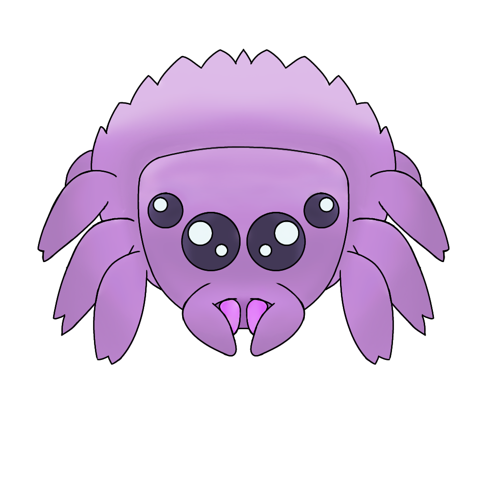 Jumping Spider - ibisPaint