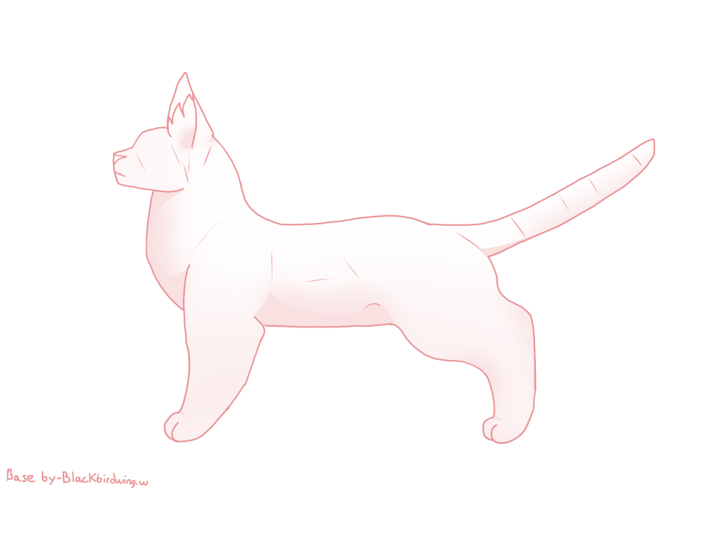 Cat base - ibisPaint