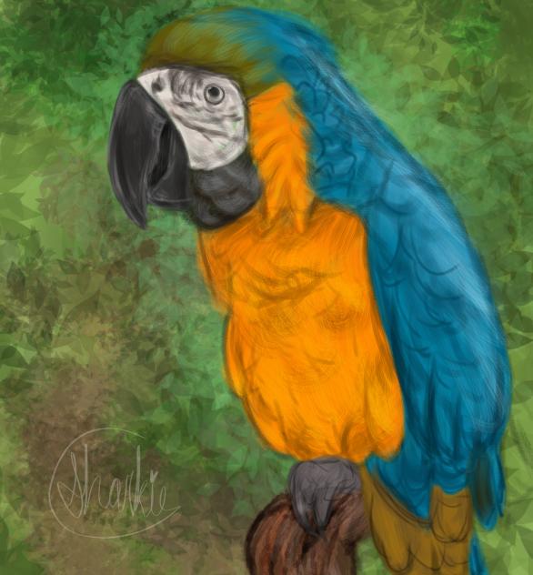 artblock - ibisPaint