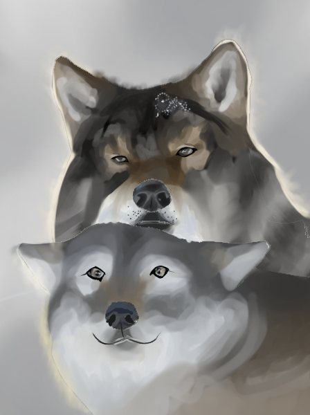 Just some wolves 🐺 - ibisPaint
