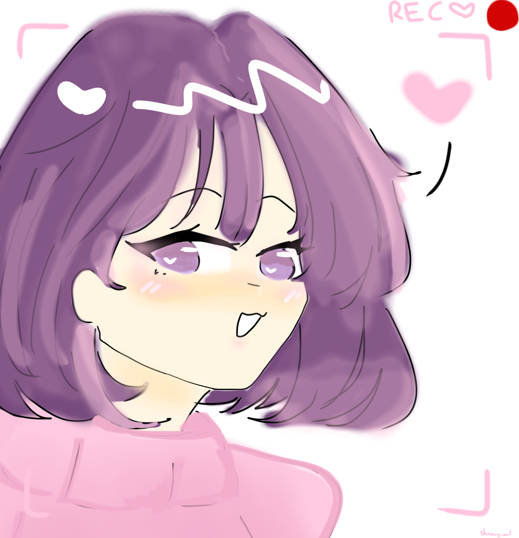 on record - ibisPaint