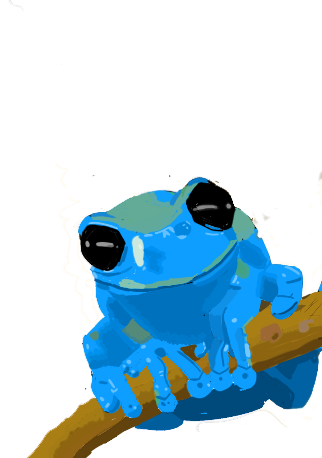 Cute lil froggie Drawing - ibisPaint