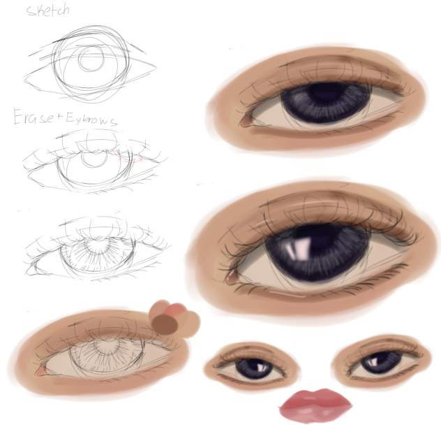 step by step - ibisPaint
