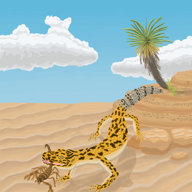 Leopard Gecko Hunting - ibisPaint