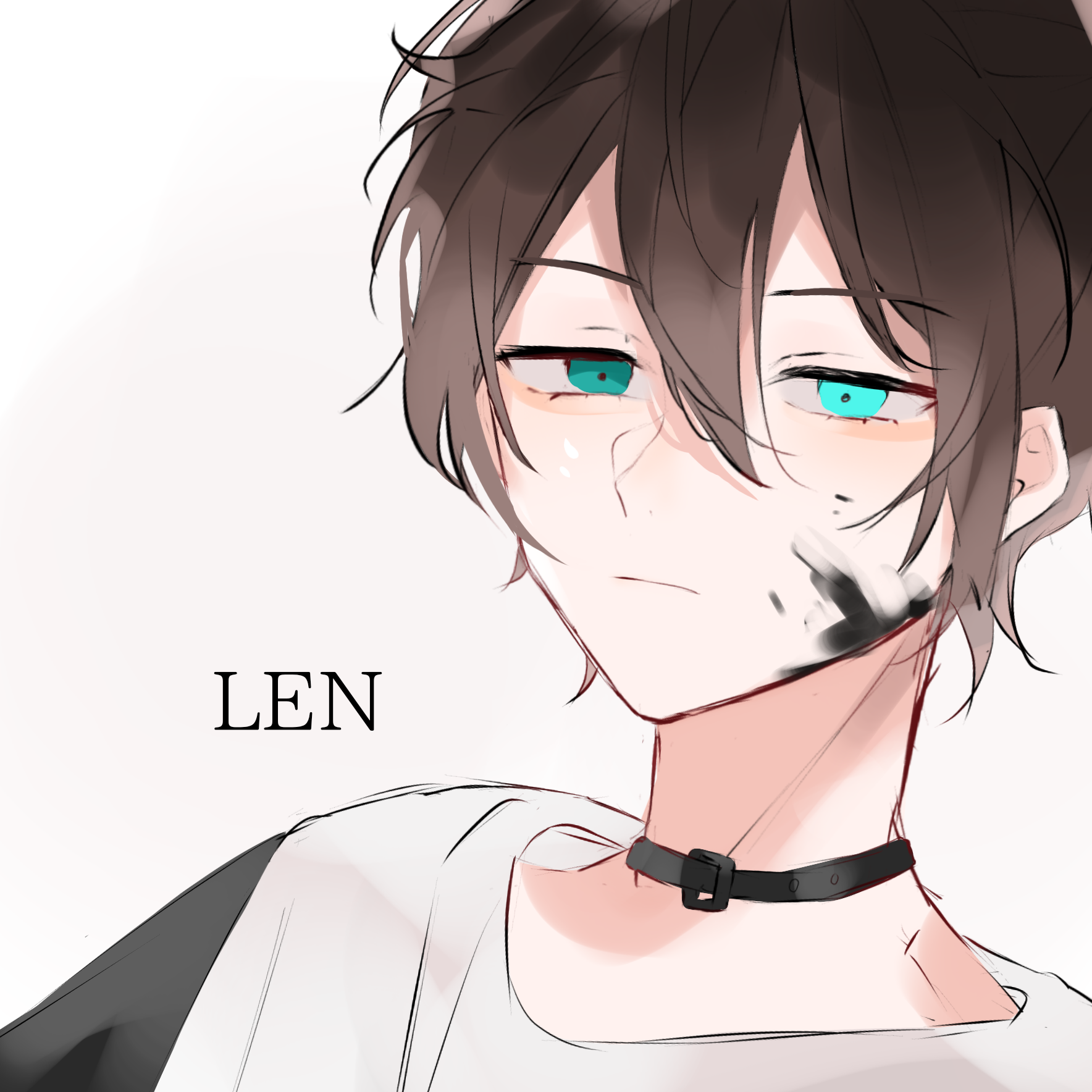 len - ibisPaint