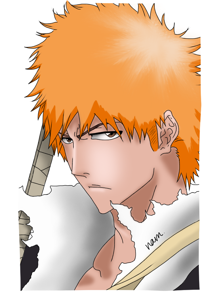 ichigo - ibisPaint