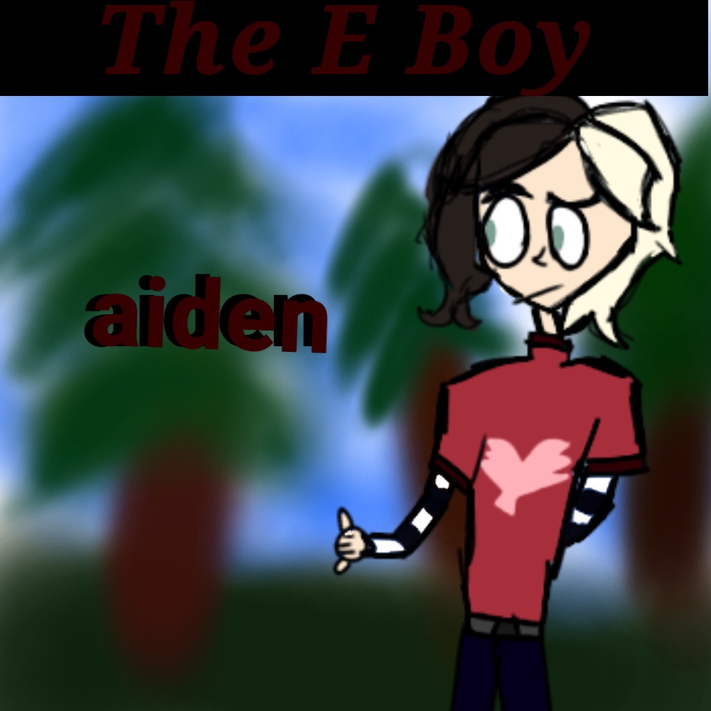 aiden disventure camp - ibisPaint