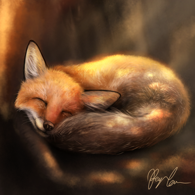 Nap Time - ibisPaint