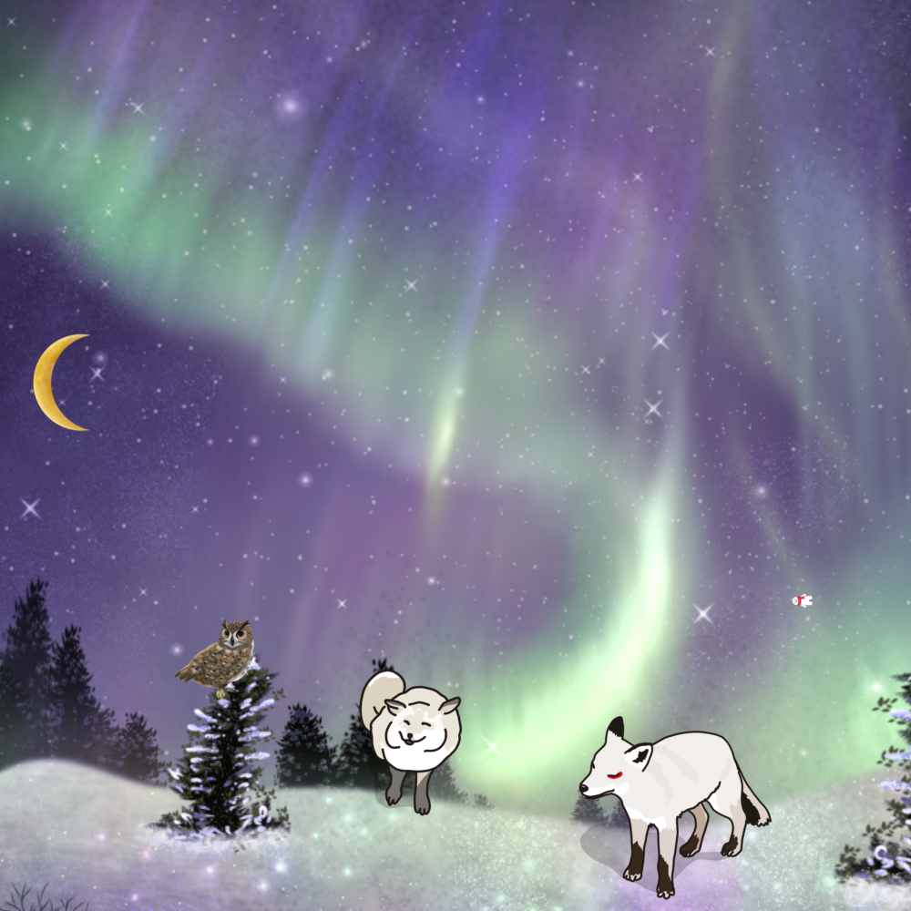 THE AURORA - ibisPaint