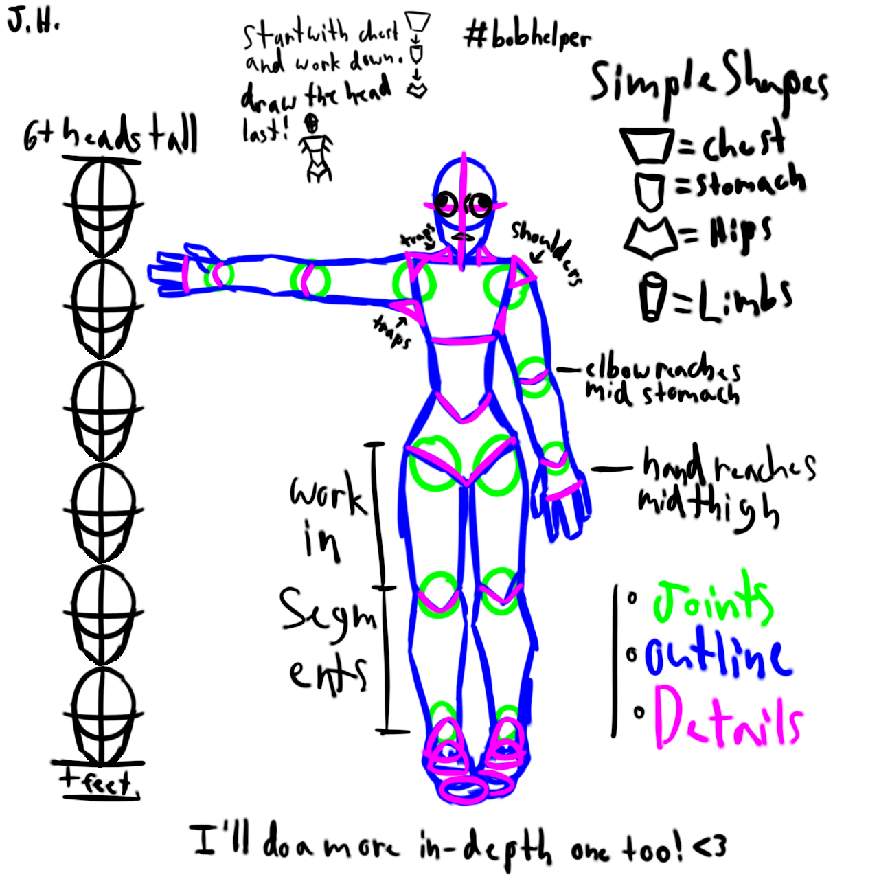 Anatomy Guide - ibisPaint