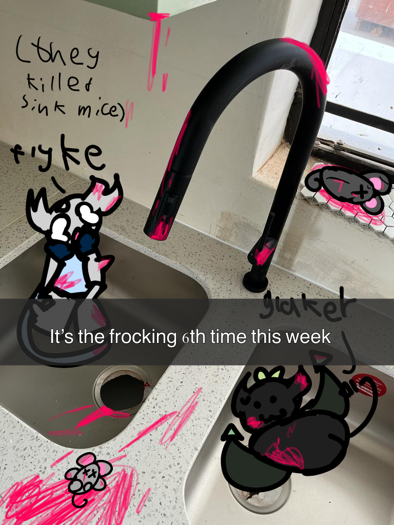 It is the froking 6th time this week - ibisPaint
