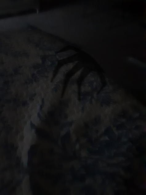 my illusions - ibisPaint