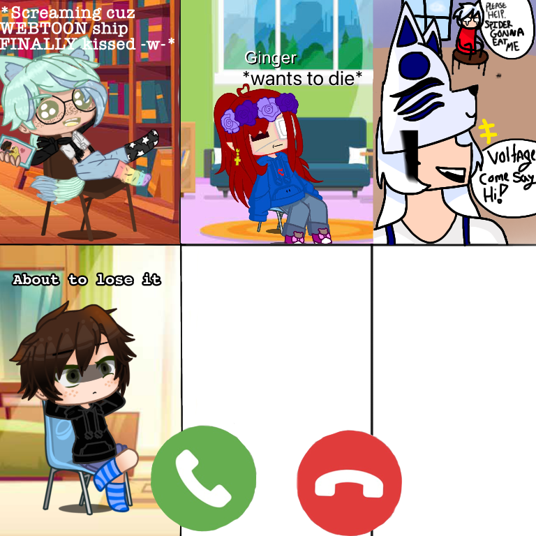 Video call - ibisPaint