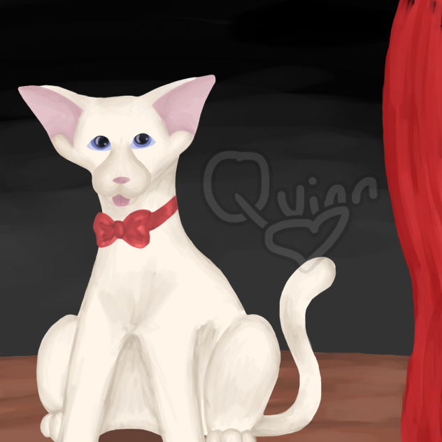 Kitty - ibisPaint