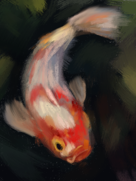 Koi fish - ibisPaint