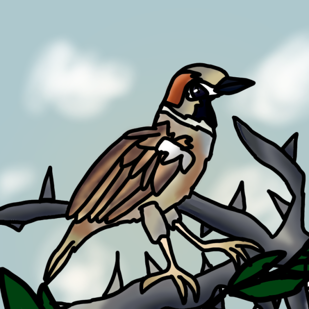 Sparrow - ibisPaint