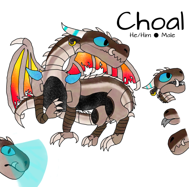 Choal ref sheet - ibisPaint