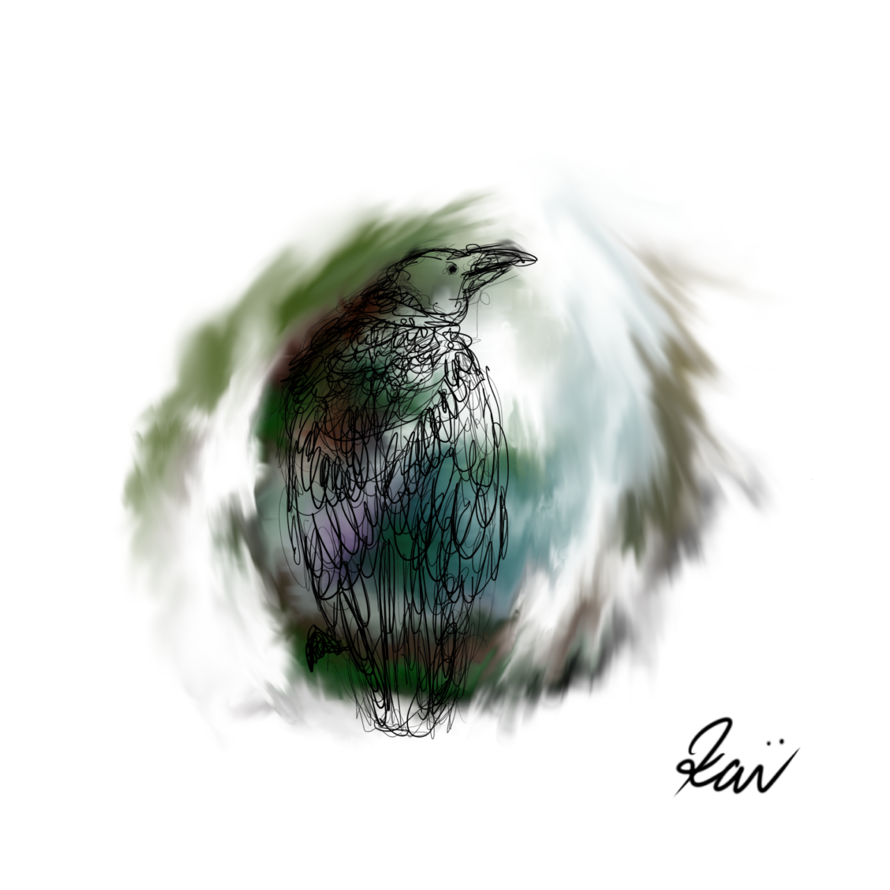 烏 - crow - ibisPaint