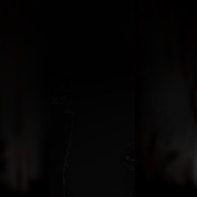 shadows at my door - ibisPaint