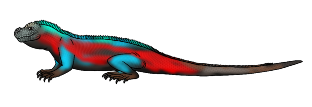 Marine iguana - ibisPaint