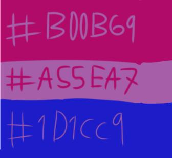 Pansexual Flag with Color codes - ibisPaint