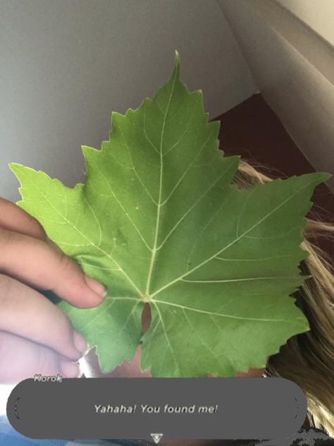 IM A KOROK - ibisPaint