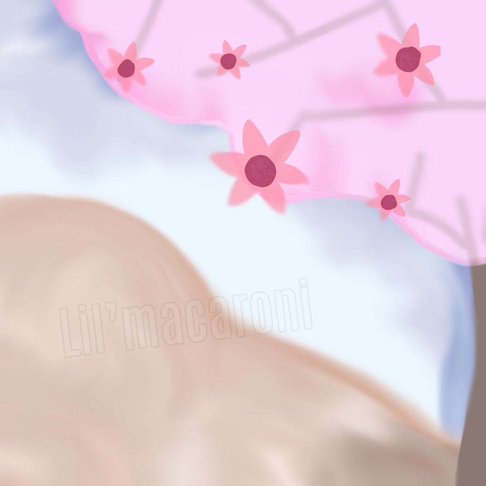 Cherry Blossom 🌸 - ibisPaint