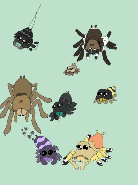 Tarantulas and Jumping Spiders - ibisPaint