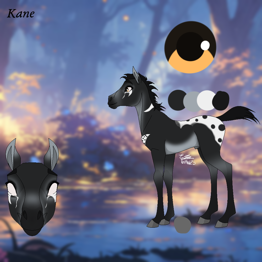 ~ Kane ~ - ibisPaint