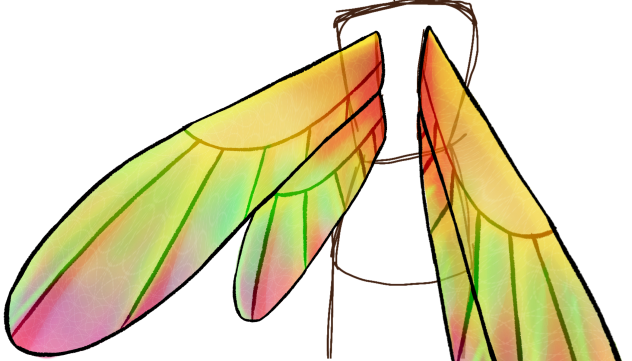 Bug wing practice - ibisPaint