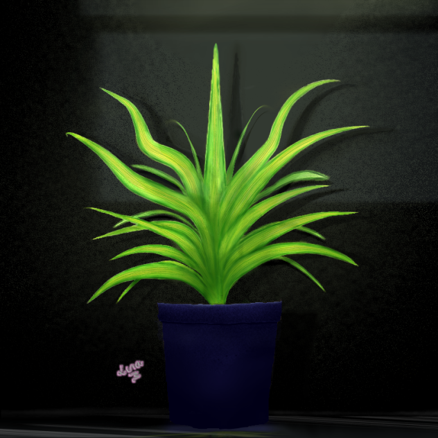 Potted Plant - ibisPaint